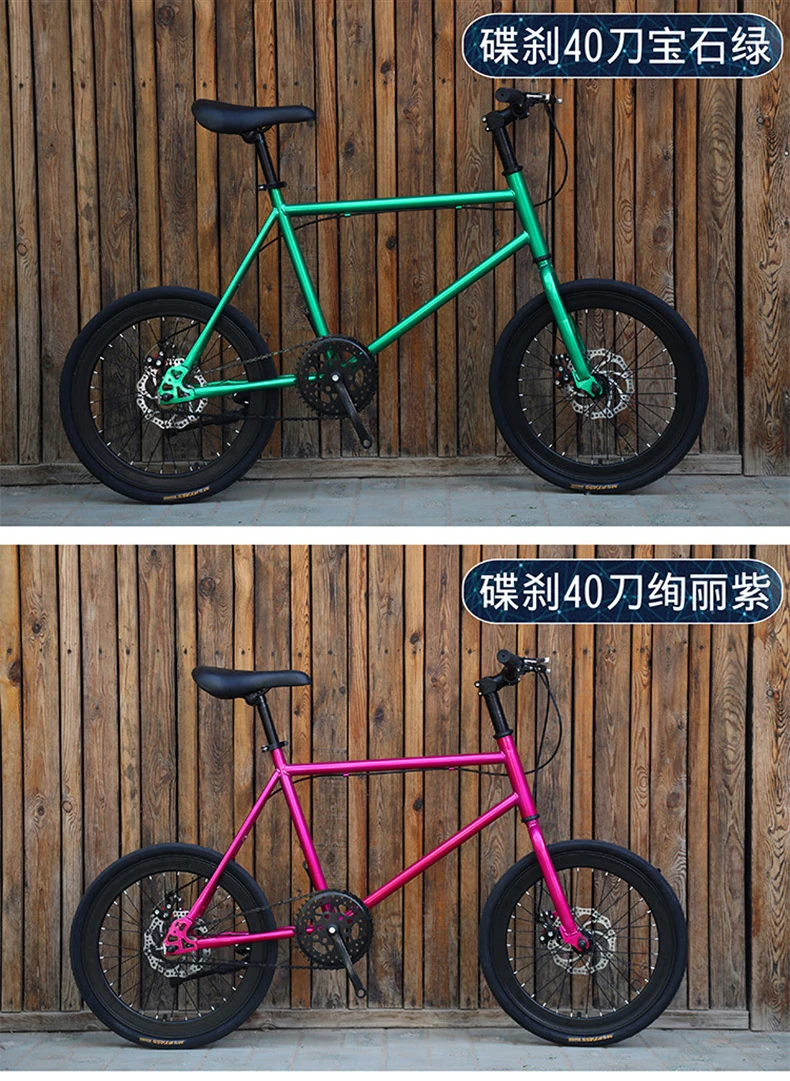 Mini Girls Fixed Gear Bike - Fashionable 20 Inch Fixie