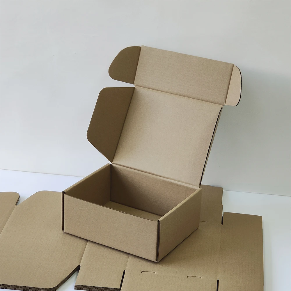 Biodegradable Recycled Mailer Carton - Custom Logo Print