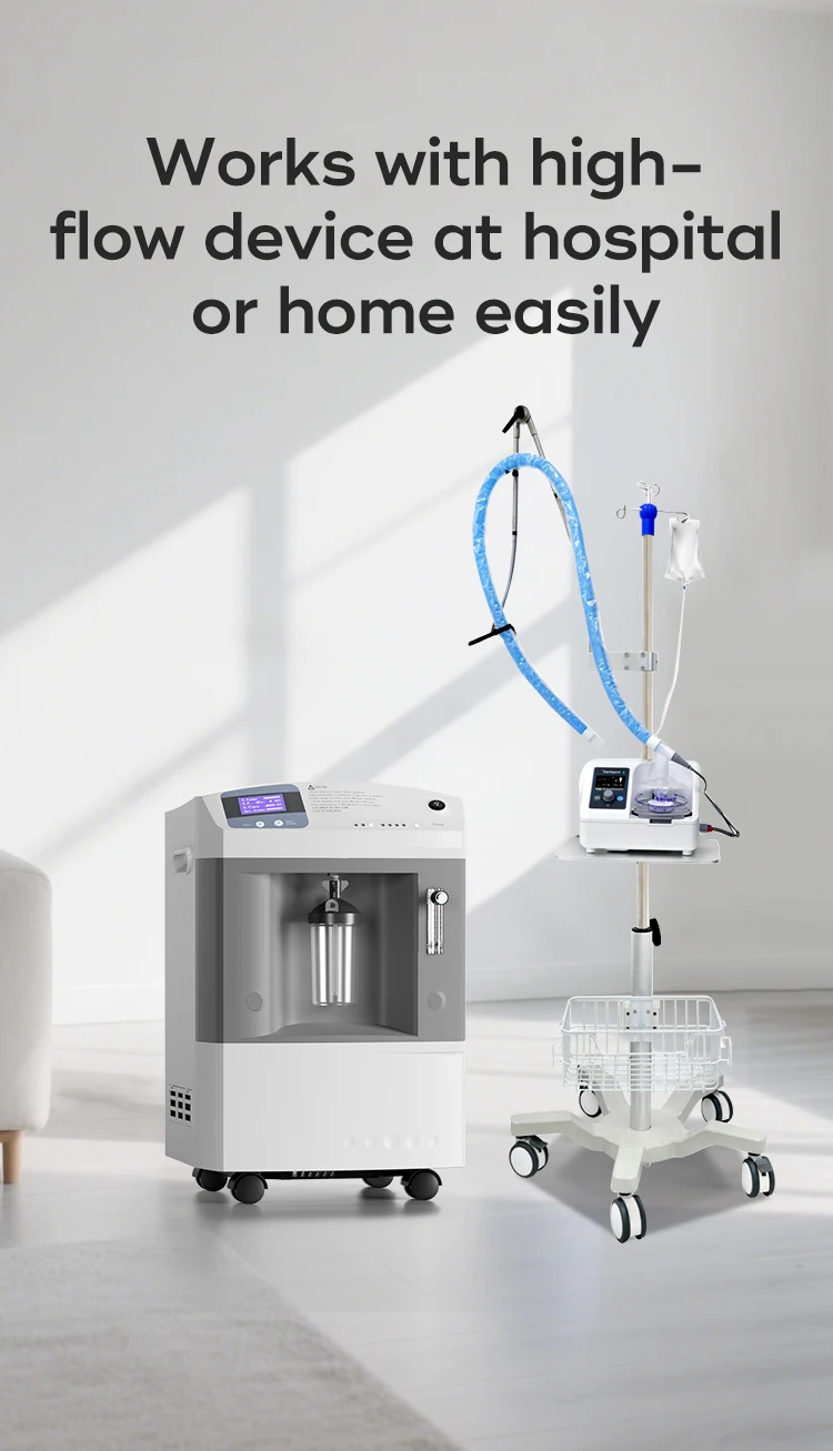 Medical Grade 10LPM Oxygen Concentrator with Humidifier Bottle Home ...