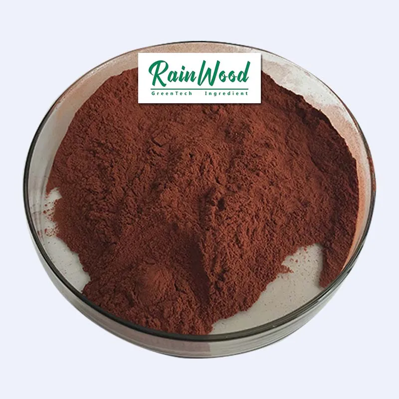 Iso Factory Supply Pure Alkalized Cocoa Powder 10-12% Coca Powder ...