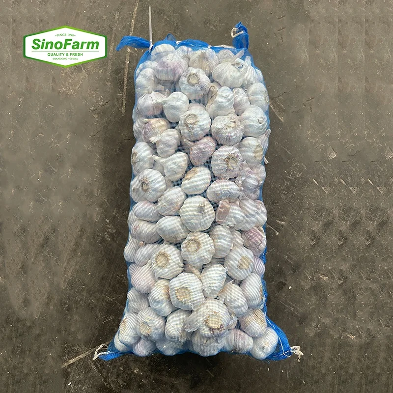 Fresh White Garlic Factory Wholesale 10kg/20kg Mesh Bag/Carton China ...