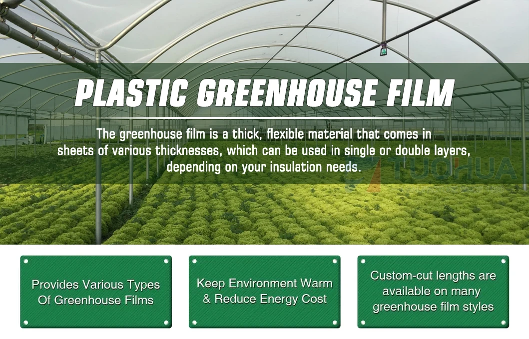 Wholesale 200 Micron Greenhouse Film - UV Resistant Polyethylene