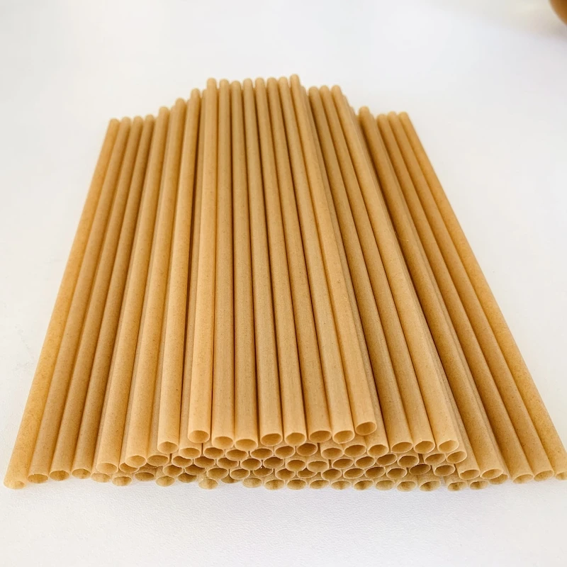 Biodegradable Straw Agave Sugarcane Bagasse Eco Friendly Disposable