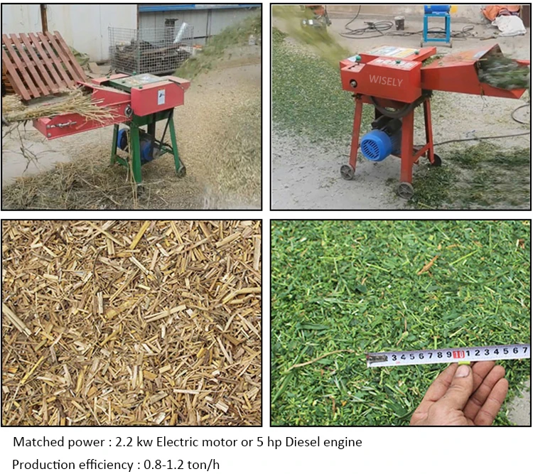 Green Grass Cattle Small Fodder Cutting Machine - High Efficiency