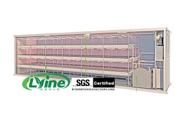 Vertical Hydroponic Barley Growing Shipping Container Farm