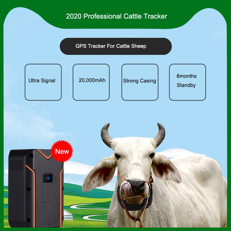 Long Lasting Battery Animal Sheep Cow Cattle Mini GPS Tracker