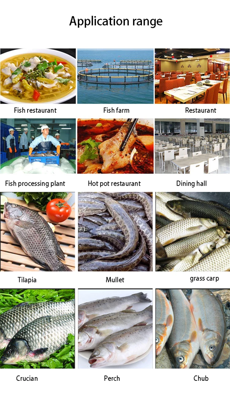 Fresh Sardin Tilapia Salmon Electric Cutter Oblique Meat Cut Small ...