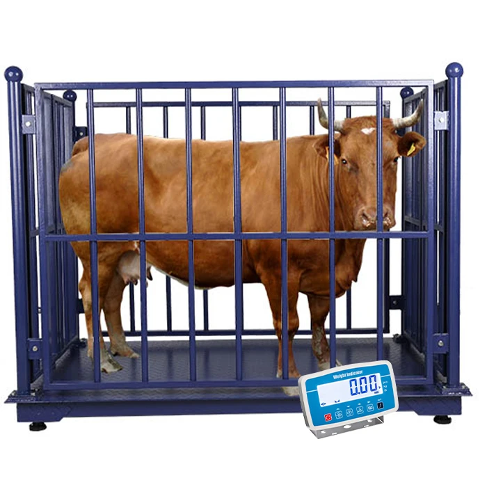 Weighing Scale for Pigs and Cattle Anti Shake Weighbridge With Fences 1 ...