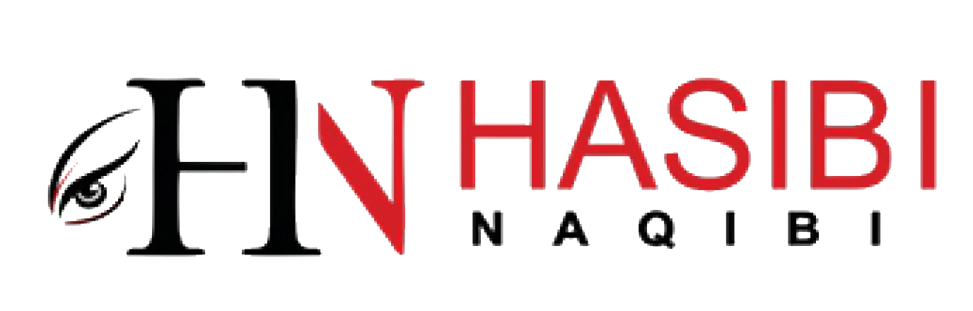 Company Overview - HASIBI NAQIBI SURGICAL CORPORATION