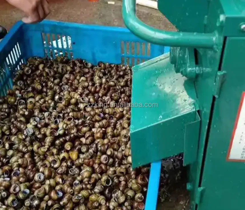 Automatic Snail Tail Cutting Machine - Efficient & Precise