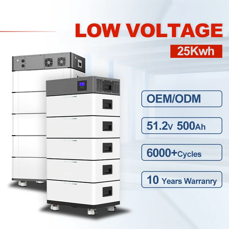 Built-in Battery Management System 150ah 200ah Store Lithium Inverter ...