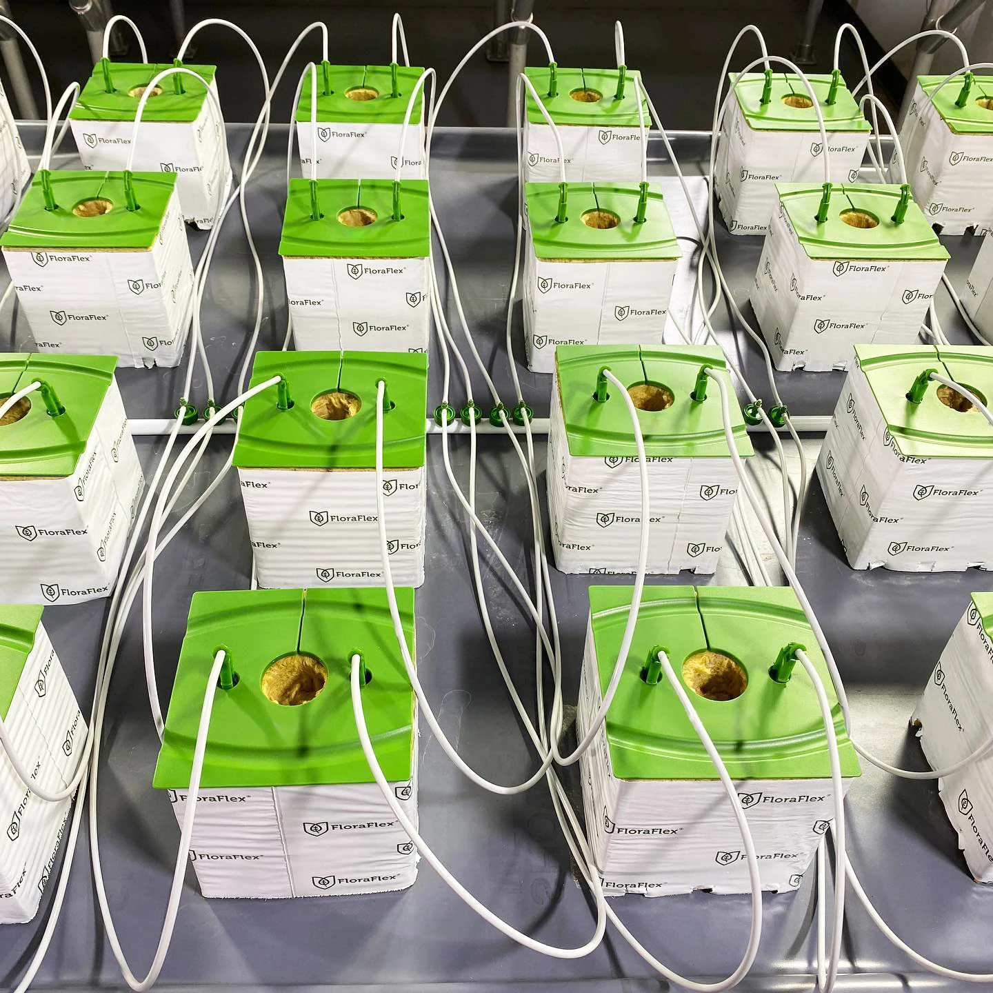 Drip Shield 6 Inch Hydroponic Plastic Irrigation Grow Cap