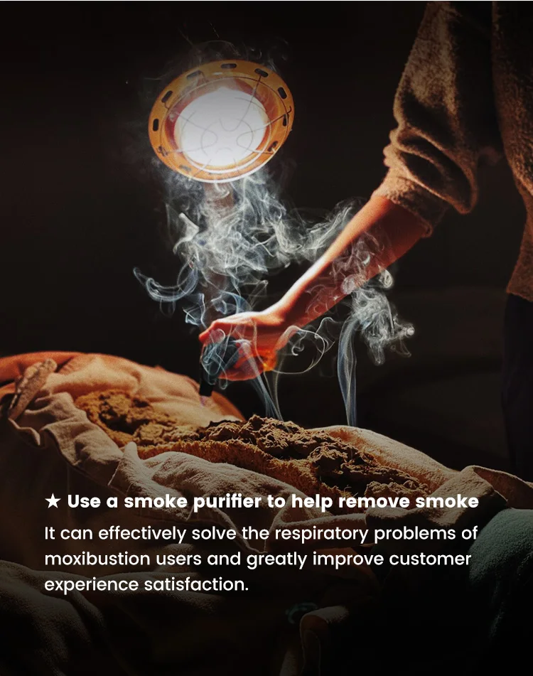 100W Moxa Moxibustion Fume Extractor - Portable Smoke Extractor for ...