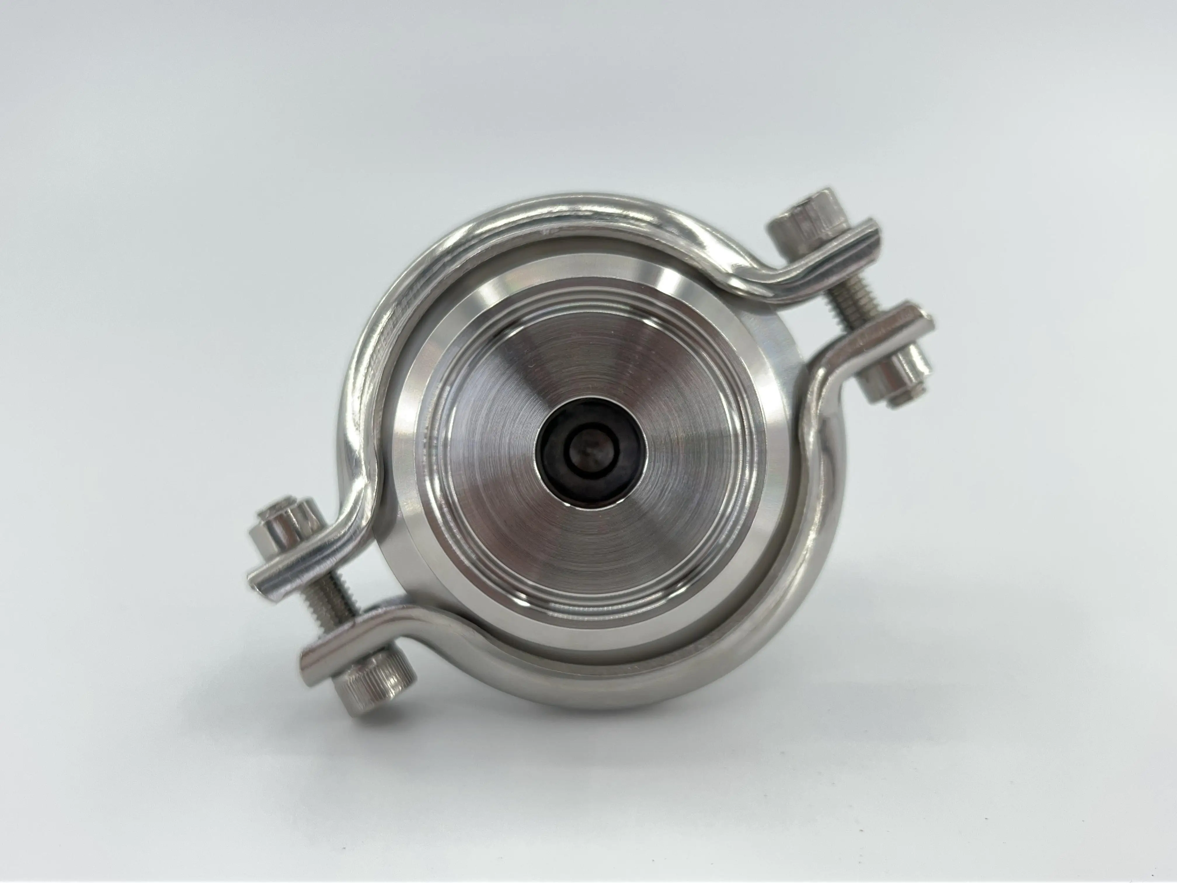Steel Ss304 Medical Check Valve 1.5 Inch 2 Inch Sanitary Stainless ...