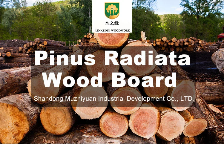 Solid Pine Wood Boards Custom Pinus Radiata Pine Solid Wood Boards ...