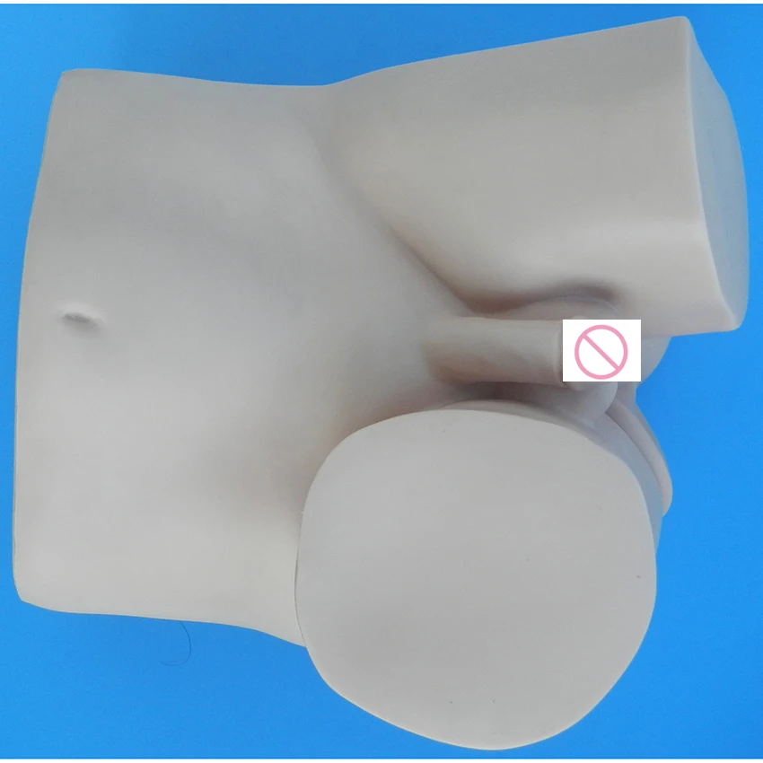 Rectal Examination Simulator,Prostate Palpation, Rectum Palpation| Alibaba.com