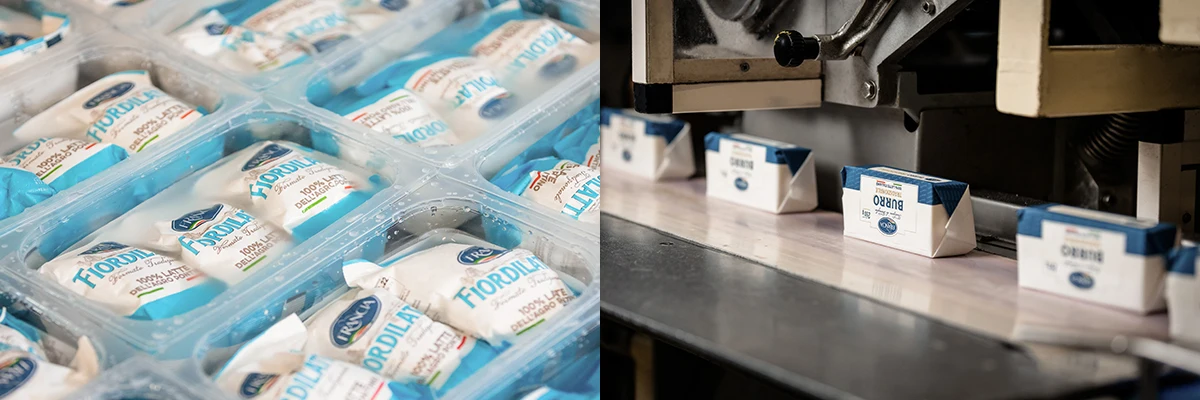 Italian Supplier Francia Latticini Milky White Color Mozzarella Fresh ...