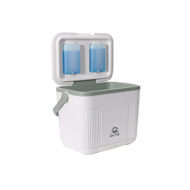 Colorful Design Oem Outdoor Home 22l Car Fridge Portable Handle Mini ...