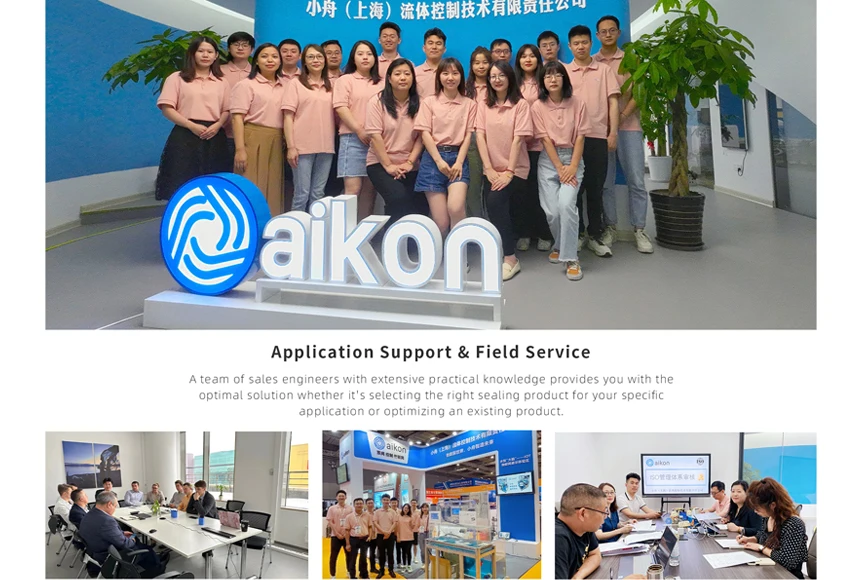 Aikon Water Pump Control Circuit Board - RS485 Programmable