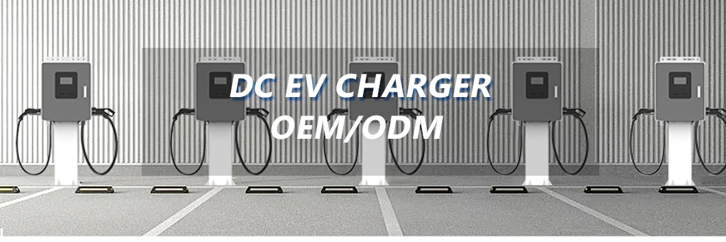 20kw EV DC Fast Charger CCS 2 - Fast and Reliable Charging