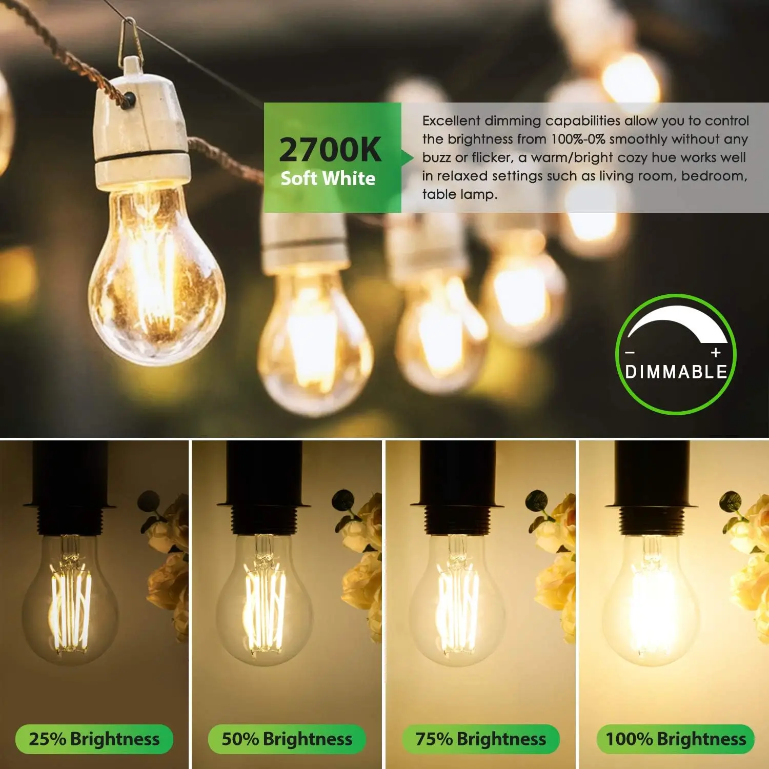 LED Filament Bulb Low Voltage DC 12V 24V ST58 6W 600LM 2700K Warm White ...