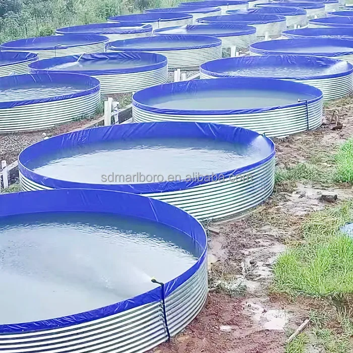 SDM Foldable Pvc Tarpaulin Farmed Ponds Farming Tank Economic Fish ...