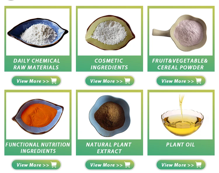 Coptis Rhizoma Extract Powder Supplement 98% Phellodendron Amurense ...