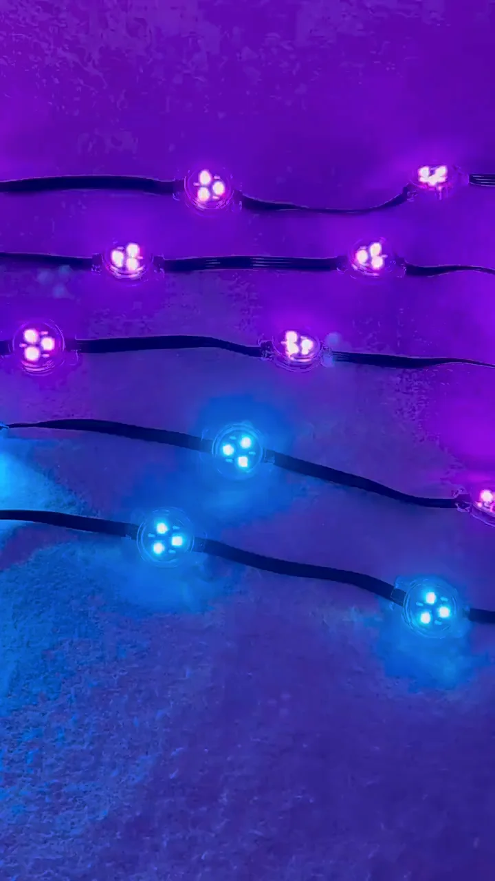 20 Pixels/string 30mm 12v Ws2818 Led Addressable Rgb Pixel Module Ip68 ...