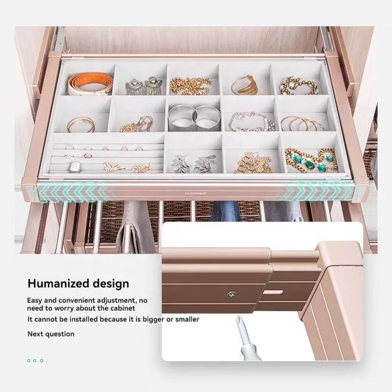 Wardrobe Jewelry Rack Push-pull Lattice Drawer Cloakroom Drawer-type ...