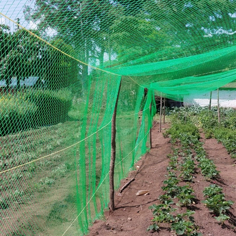 Farming Uv Resistant Agricultural Greenhouse 40 % White Sun Shade Net ...