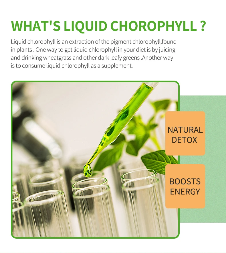 Wholesale Chlorophyll Liquid Drops 6000 Mg - Premium Liquid Chlorophyll ...