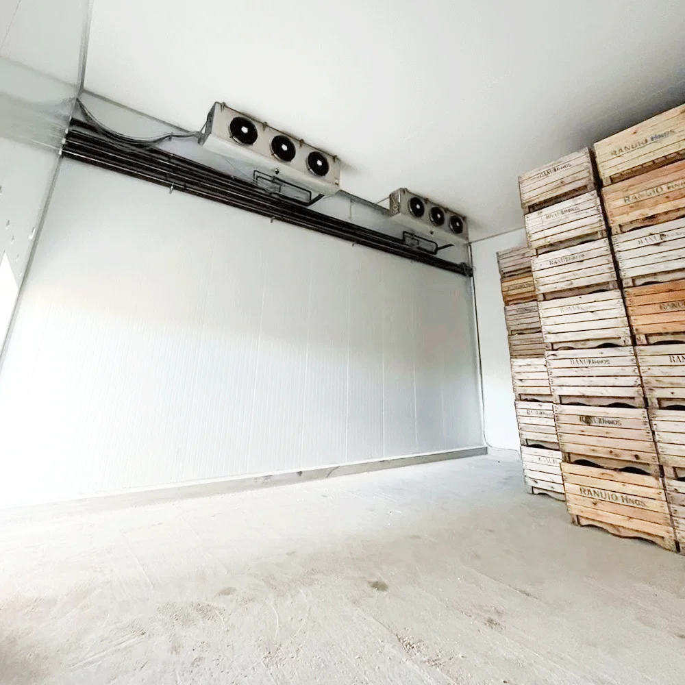 Walkin Chamber Walk In Freezer Cooling System Cold Room Chicken Walk In ...