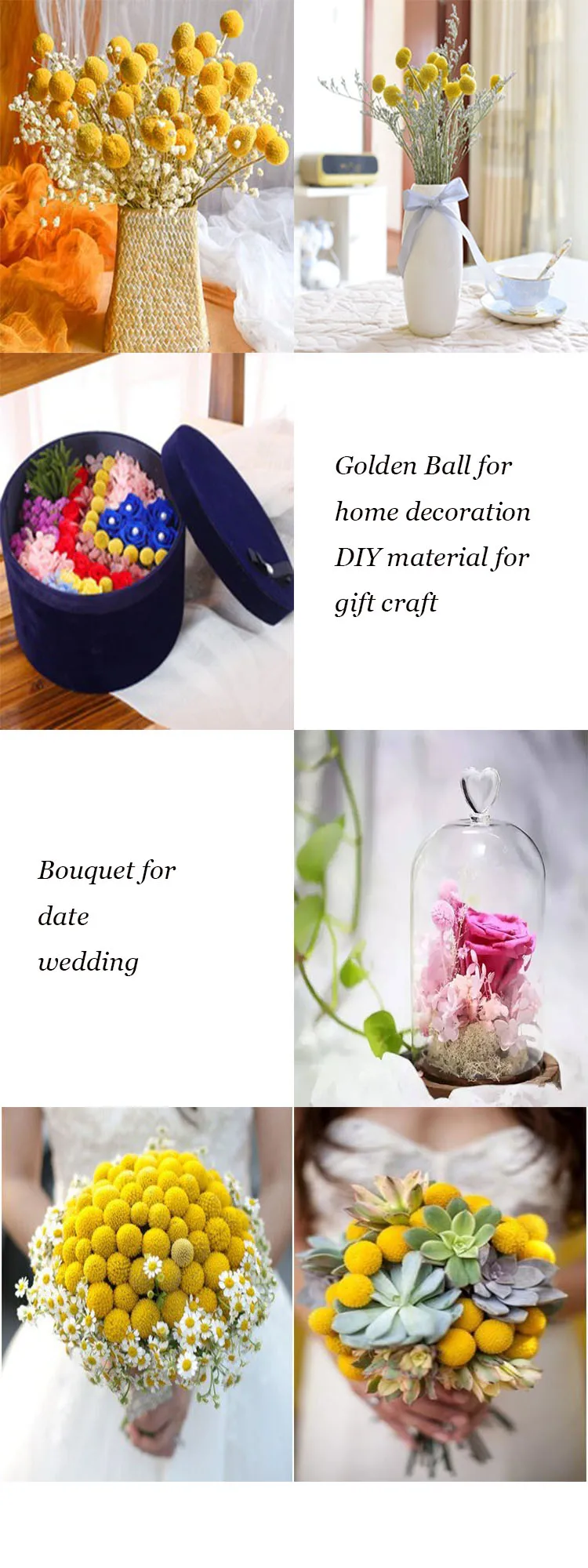 Golden Billy Button Flowers For Wedding Decoration Preserved Flowers ...