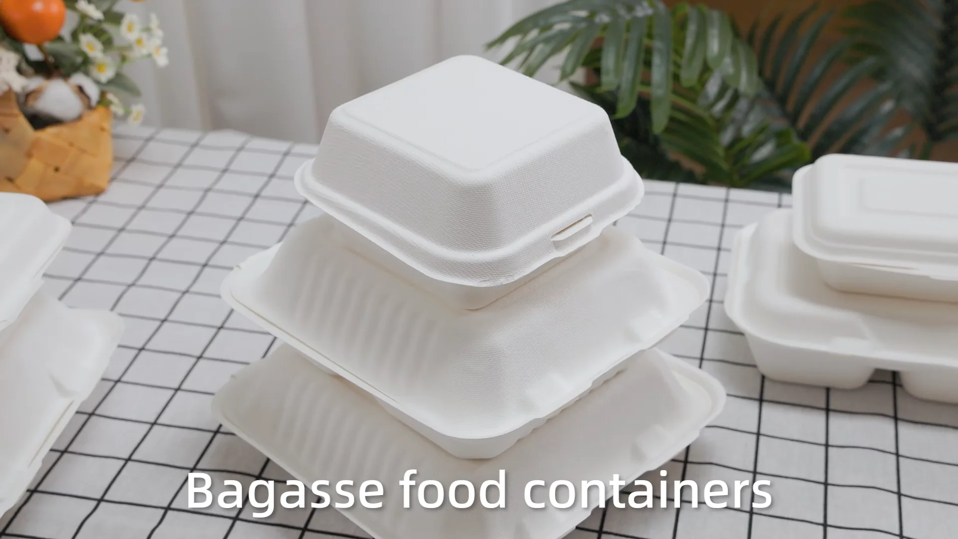 Wholesale Ecofriendly Disposable Label Private Sugarcane Bagasse ...