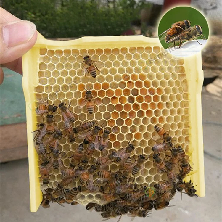 Benefitbee Eps Foam Queen Bee Box Mini Mating Nuc Beehive | Wholesale
