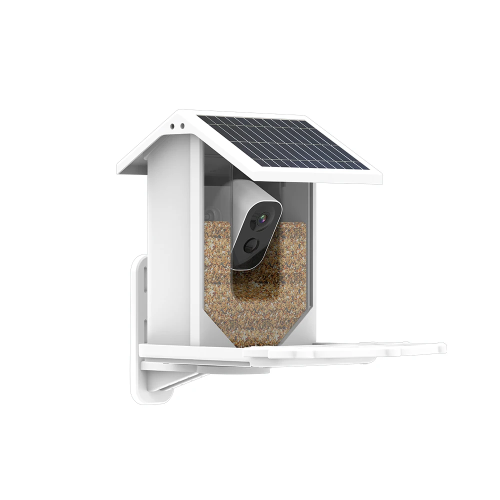 Outdoor wildlife monitoring camera bird remote viewing AI bird feeder ...