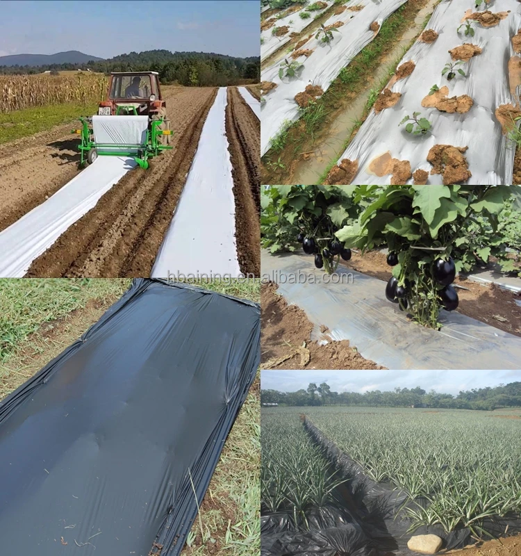 Free Sample Custom Perforated Plastic Mulch Film Black