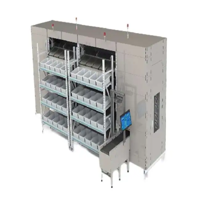 Automatic Put Wall Parcel Sorting Rgv Robot Parcel Sorting 3d Sorting ...