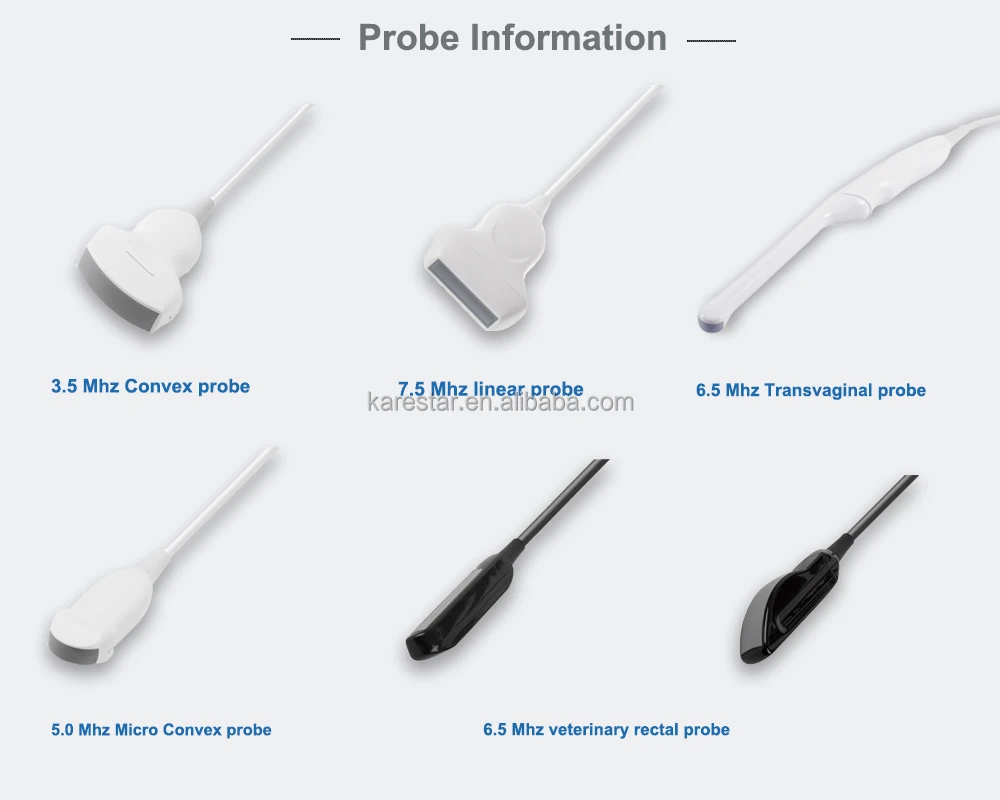 Vet Ultrasound Dp 50 Mindray Veterinary Ultrasound Portable Color ...