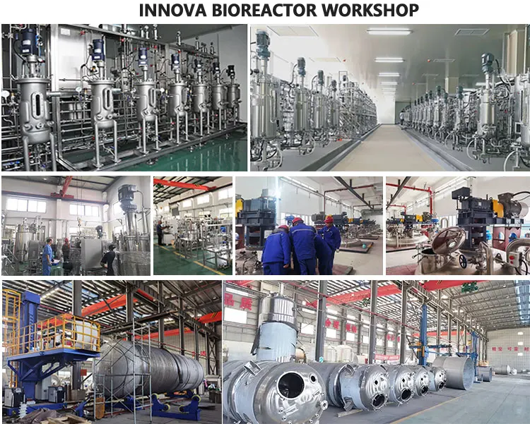 Industrial Batch Fermentation Bioreactors - Innova 100L-1000L