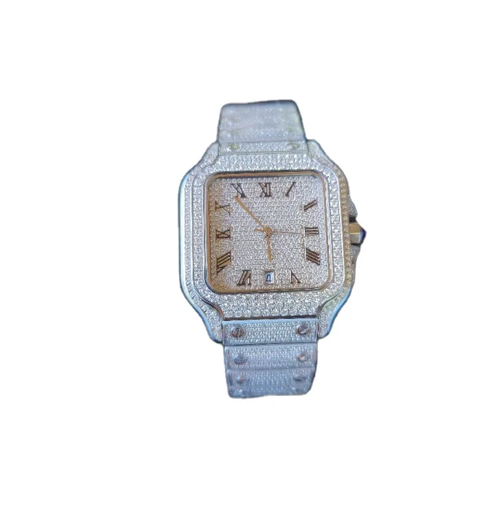 Top Quality Diamonds Moissanites Zirconias Stainless Steel Watch Vvs ...