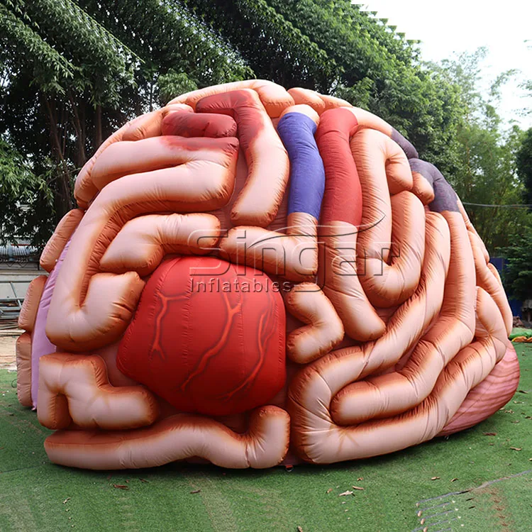 Custom Inflatable Medical Brain Props - Singar Quality