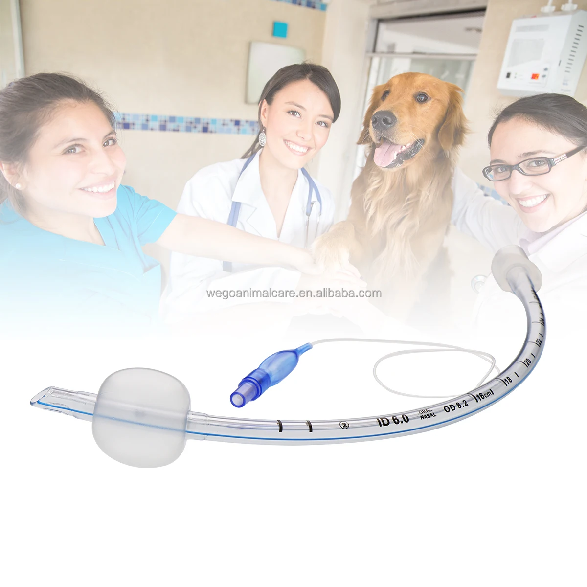 Veterinary Cuffed PVC Endotracheal Tubes for Cats & Dogs