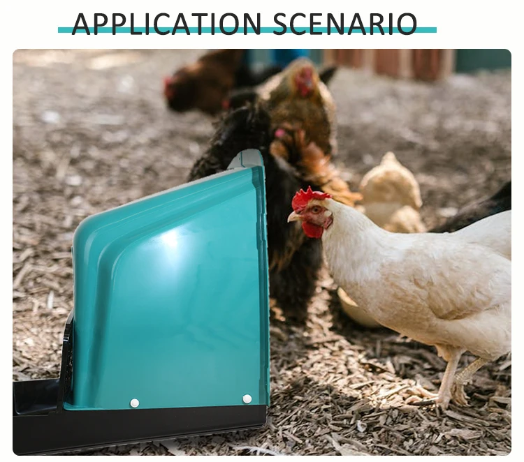 Plastic Chicken Nest Coop Box - Support Wall Mounted