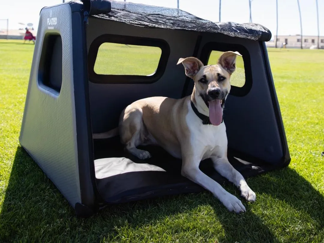 Large Outdoor House Inflatable Kennel Cage Outdoor Dog Kennel For ...
