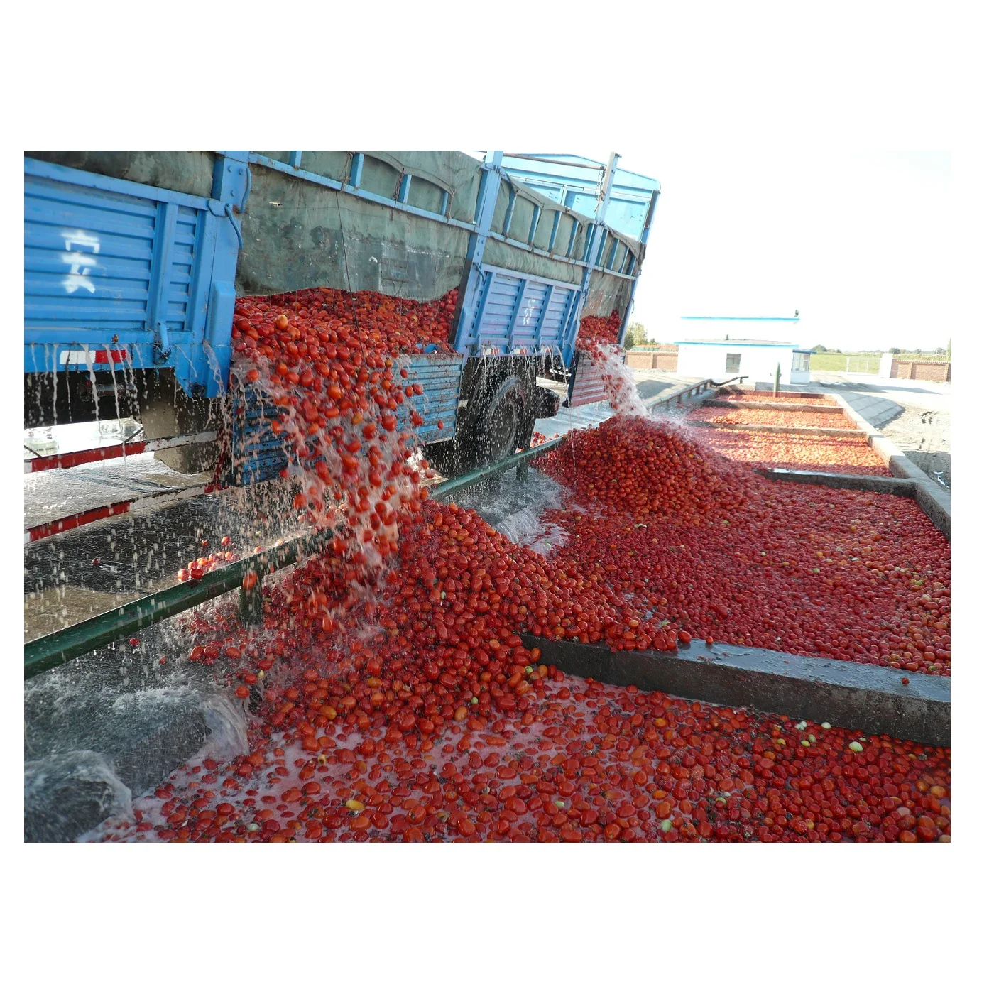 professional fully automatic factory use tomato paste production line ...