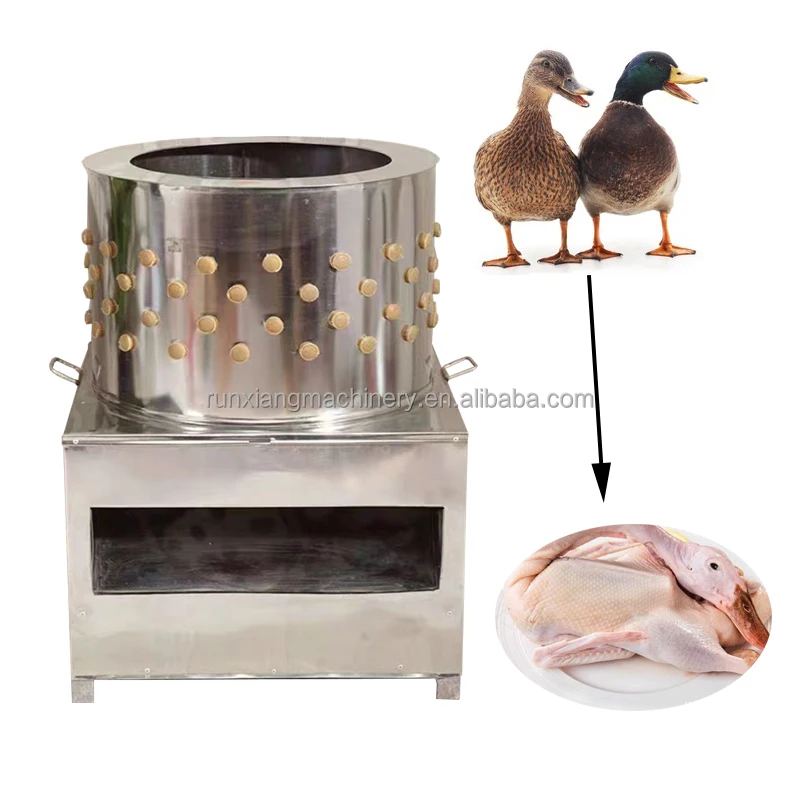 Plucking Chickenplucker Plucker Poiltry Poultry Slaughtering Equipment ...