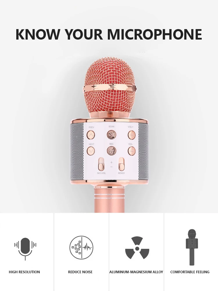 Pink Microphone True Diversity Wireless Microphone For Kids Child ...
