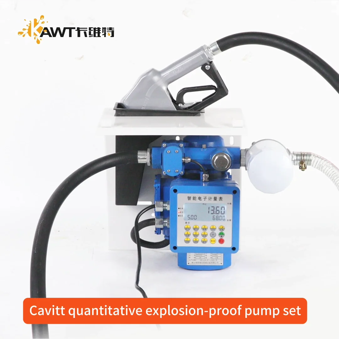 Cavitt 12v/24v/220v Quantitative Explosion-proof Pump Set Portable Fuel Pump Quantitative Flow ...
