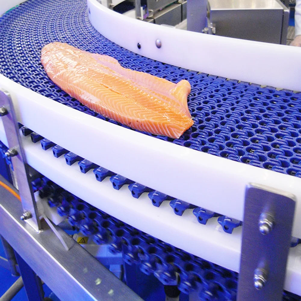 Belt Conveyor Manufacturer Modular Belt Conveyor System Plastic Food ...